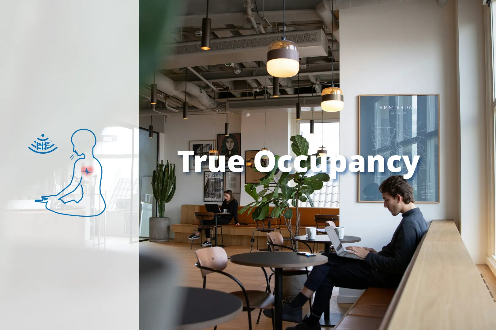 True Occupancy Detection